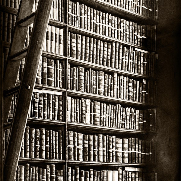 Art Print Sepia - Etsy