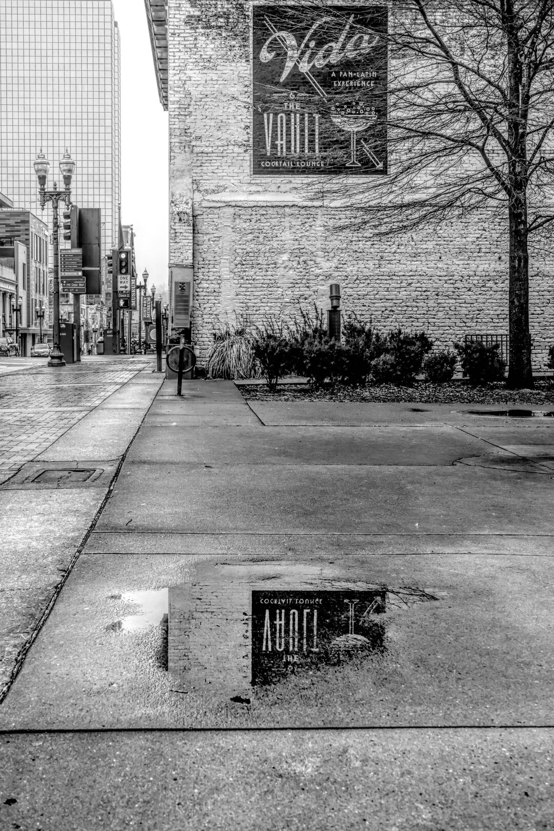 Vida at the Vault Reflection Knoxville Tennessee Americana Black and ...