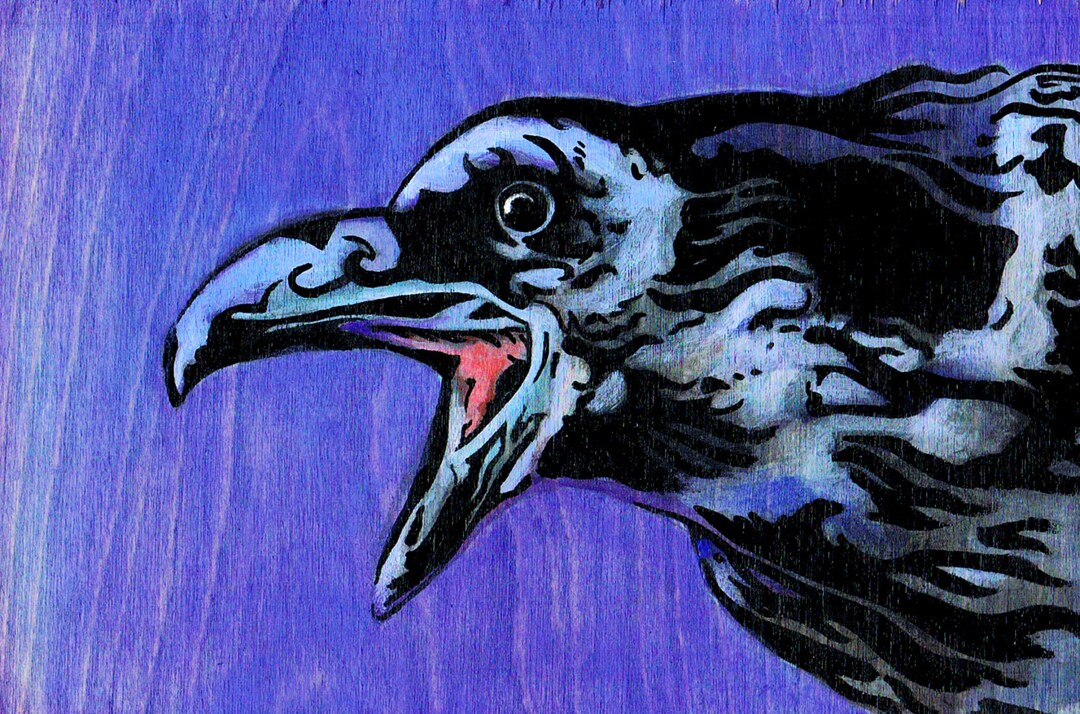 Alala Hawaii Crow Macabre Art Edgar Allan Poe Raven Art Print Crow Wall ...