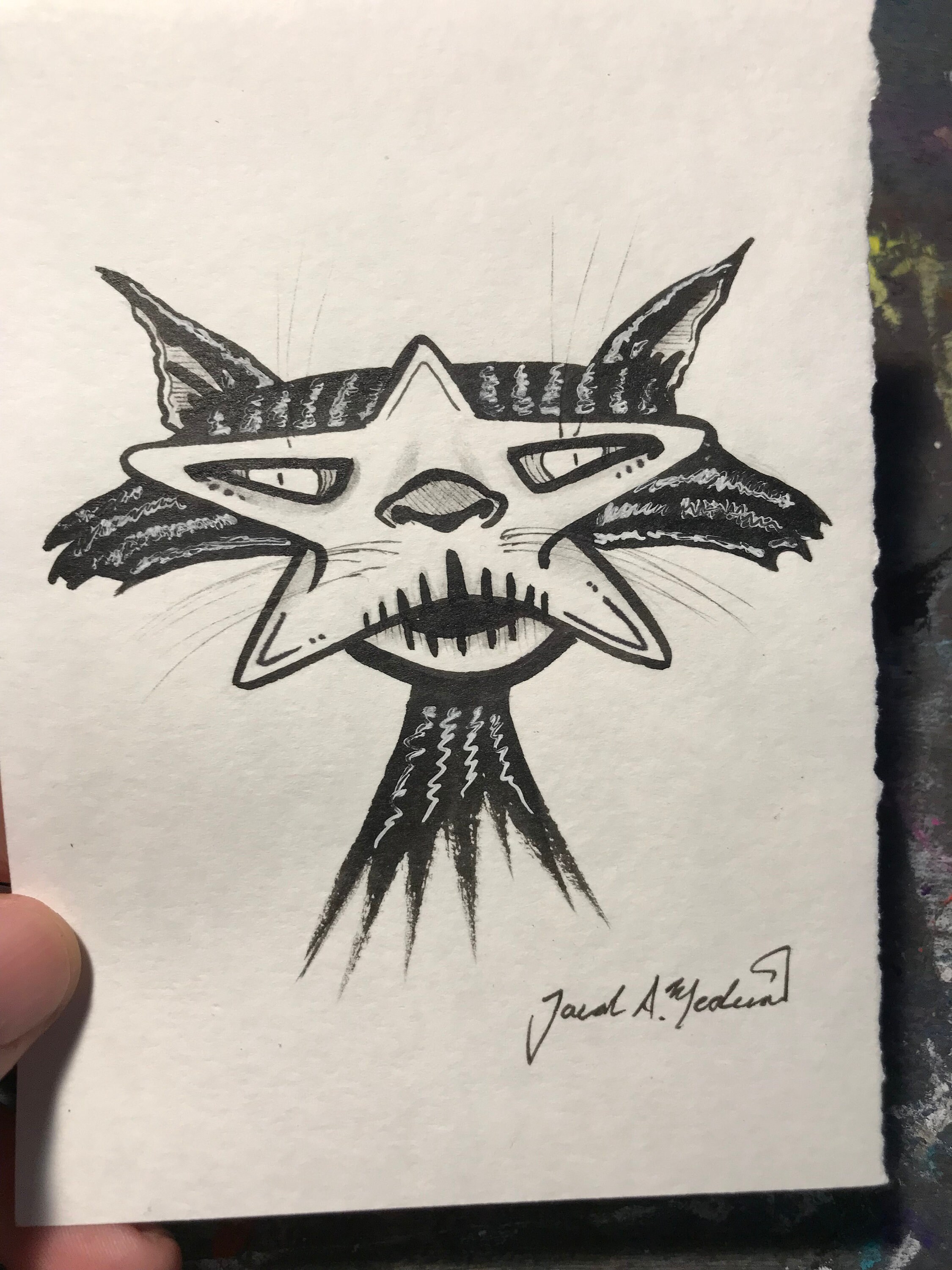 Crazy Cat Drawing