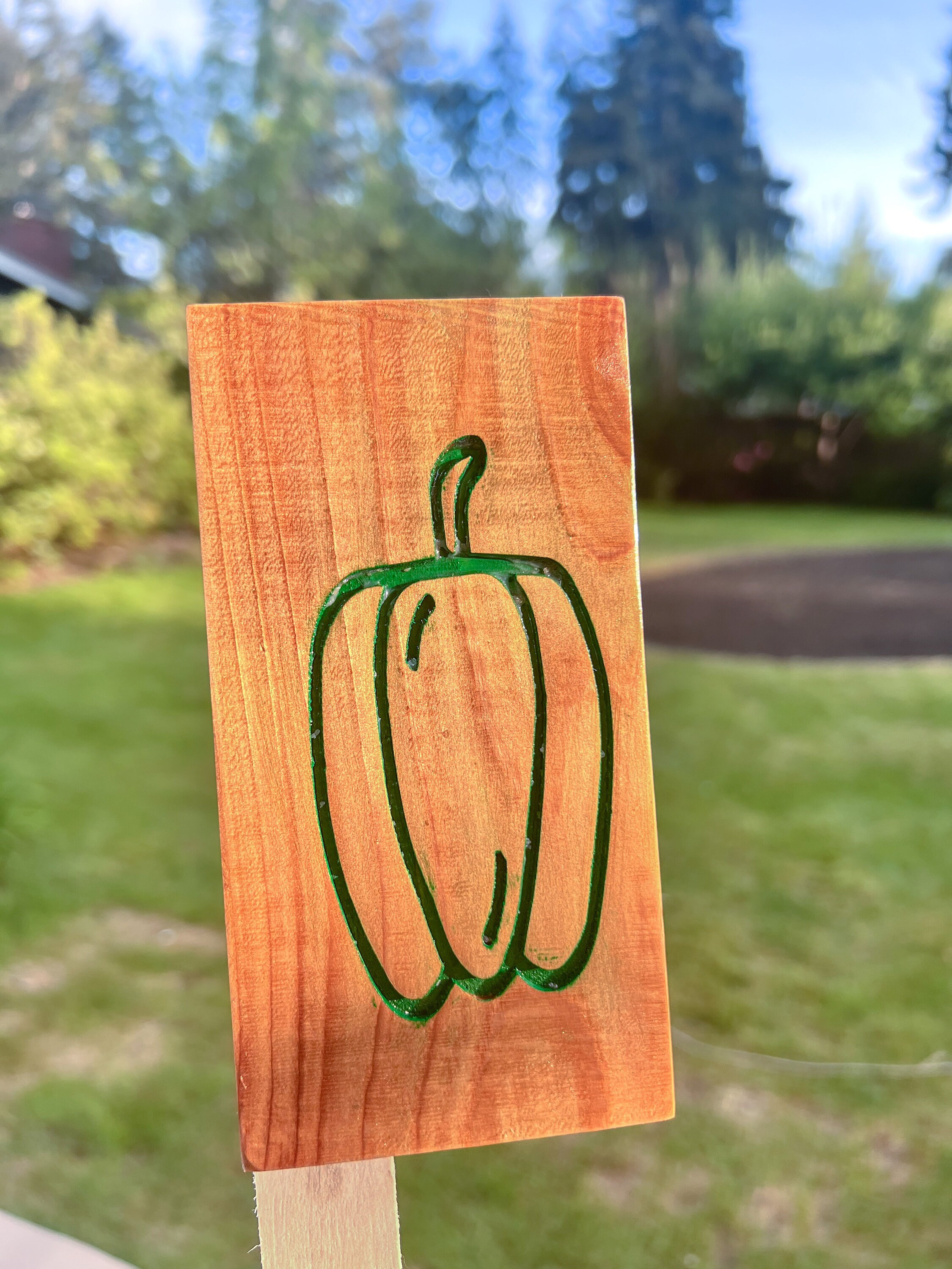 Vegetable Garden Plant Marker Customizable Durable Wooden Eco-friendly ...