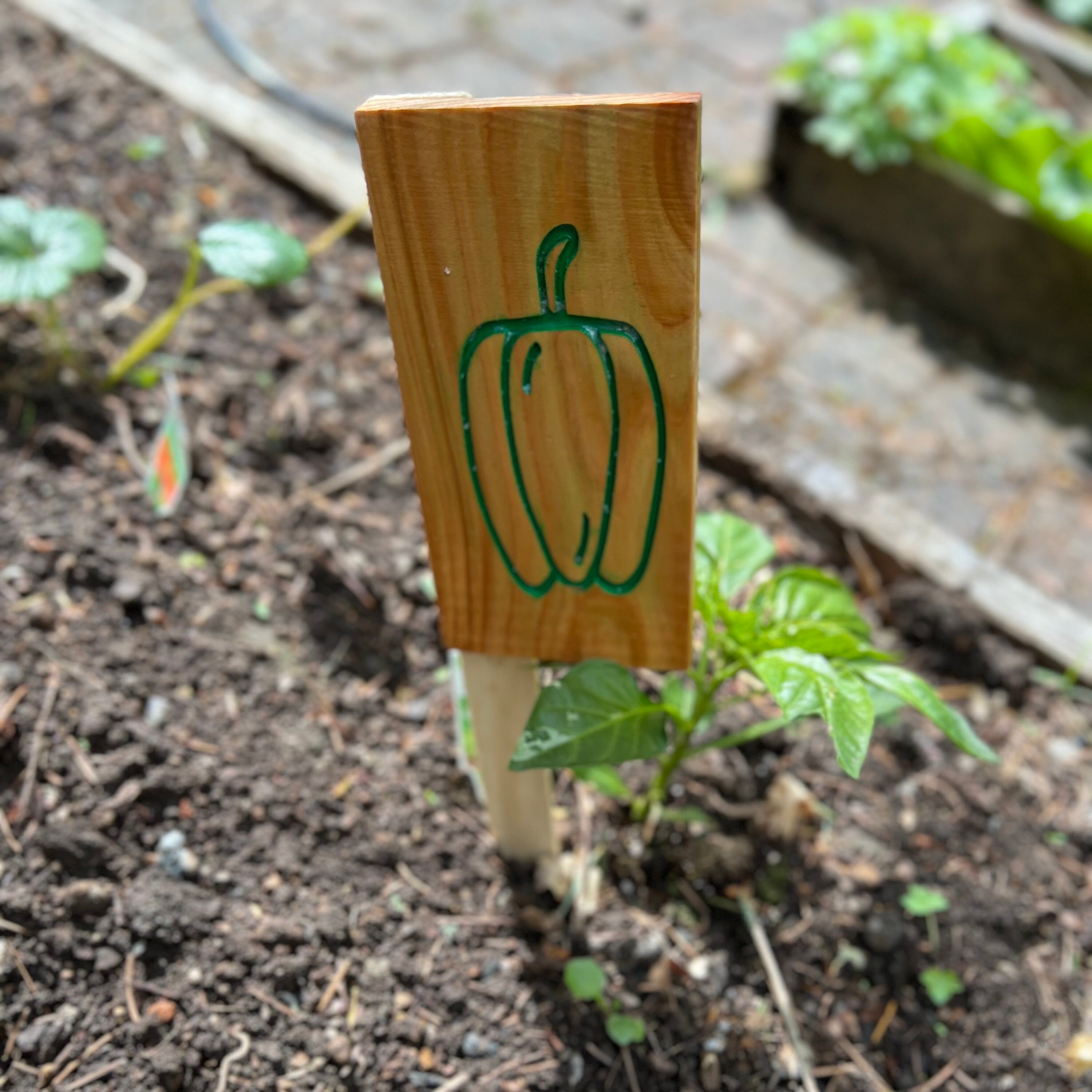 Vegetable Garden Plant Marker Customizable Durable Wooden Eco-friendly ...