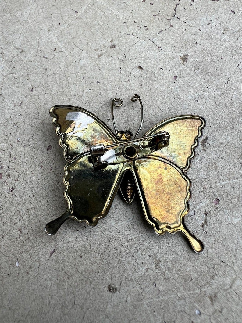 1950s Vintage the Queen Alexandra Birdwing Swallowtail Butterfly Brooch ...