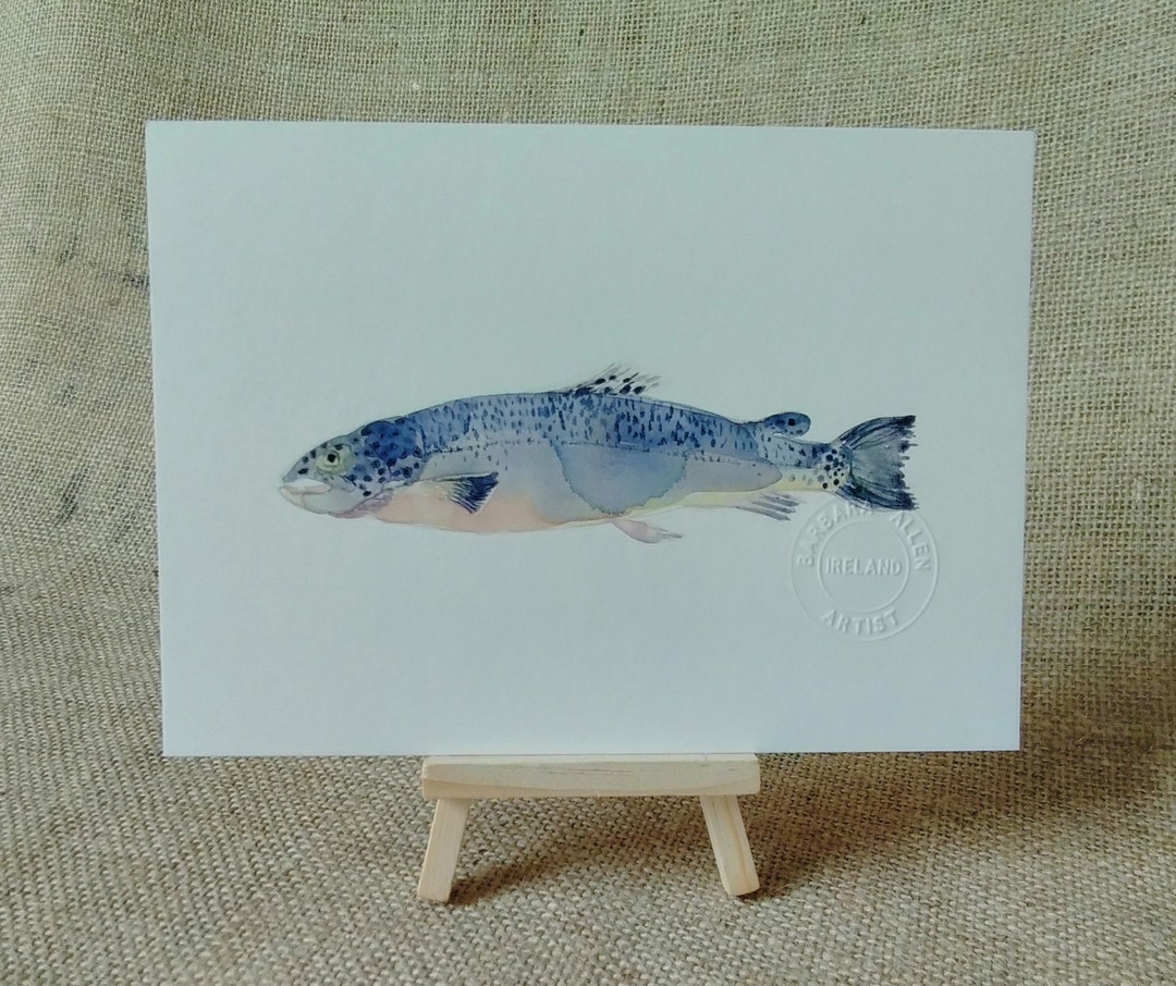 Salmon, Mini Print. - Etsy