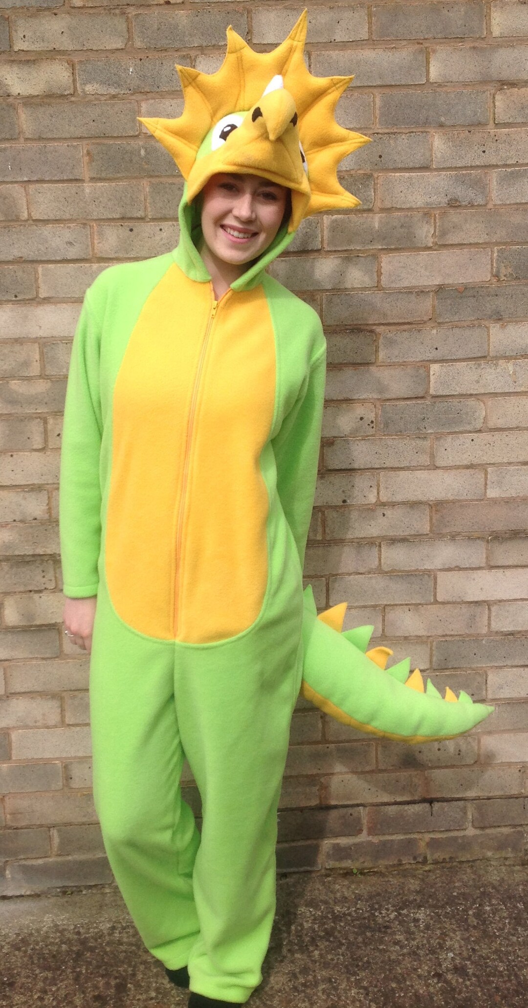 Dinosaur Onesie/adult Dinosaur Gift/ Dinosaur Party/dinosaur Kigurumi ...