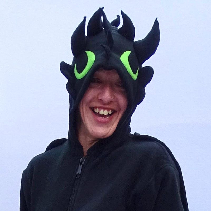 Night Fury Costume - Etsy