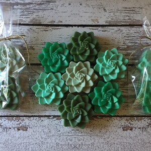 Soap, Succulent Soap, Succulent, Handmade Soup, Handmade, Natural ...
