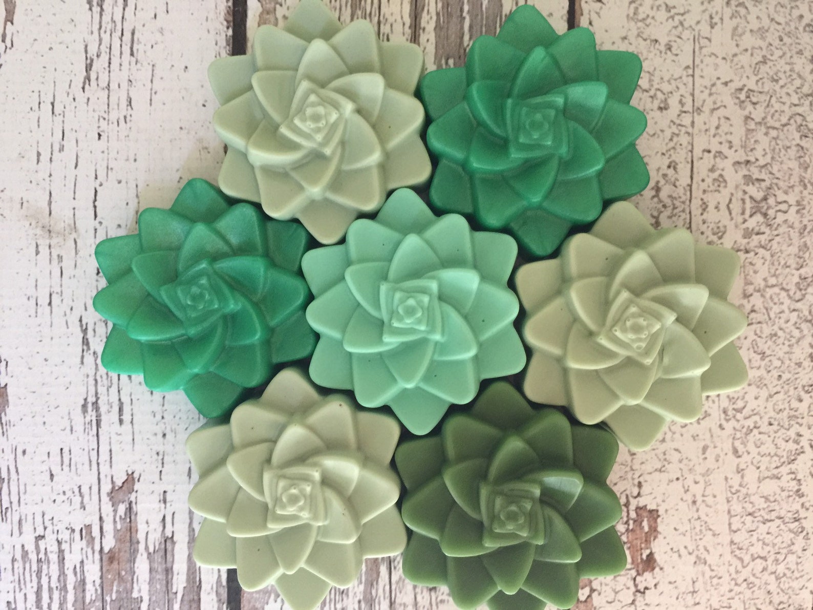 Soap Succulent Soap Succulent Handmade Soup Handmade - Etsy