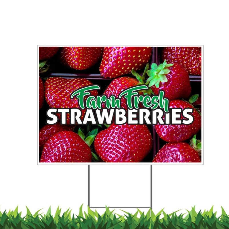 Strawberry Signs - Etsy