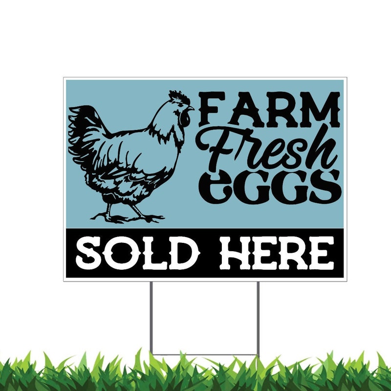 Fresh Farm Eggs Signs - Etsy