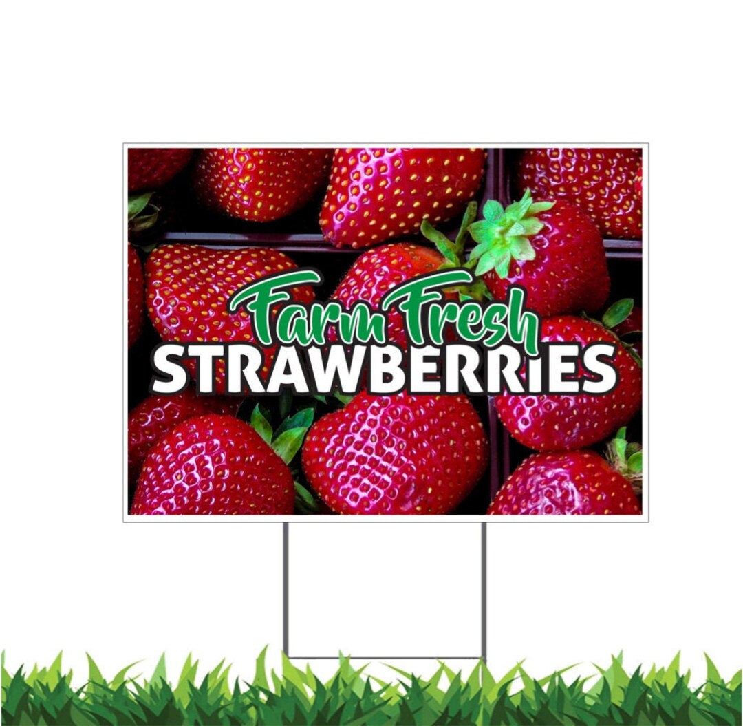 Farm Fresh Strawberries, Yard Sign, Printed 2-sided -12x18, 24x18 or ...