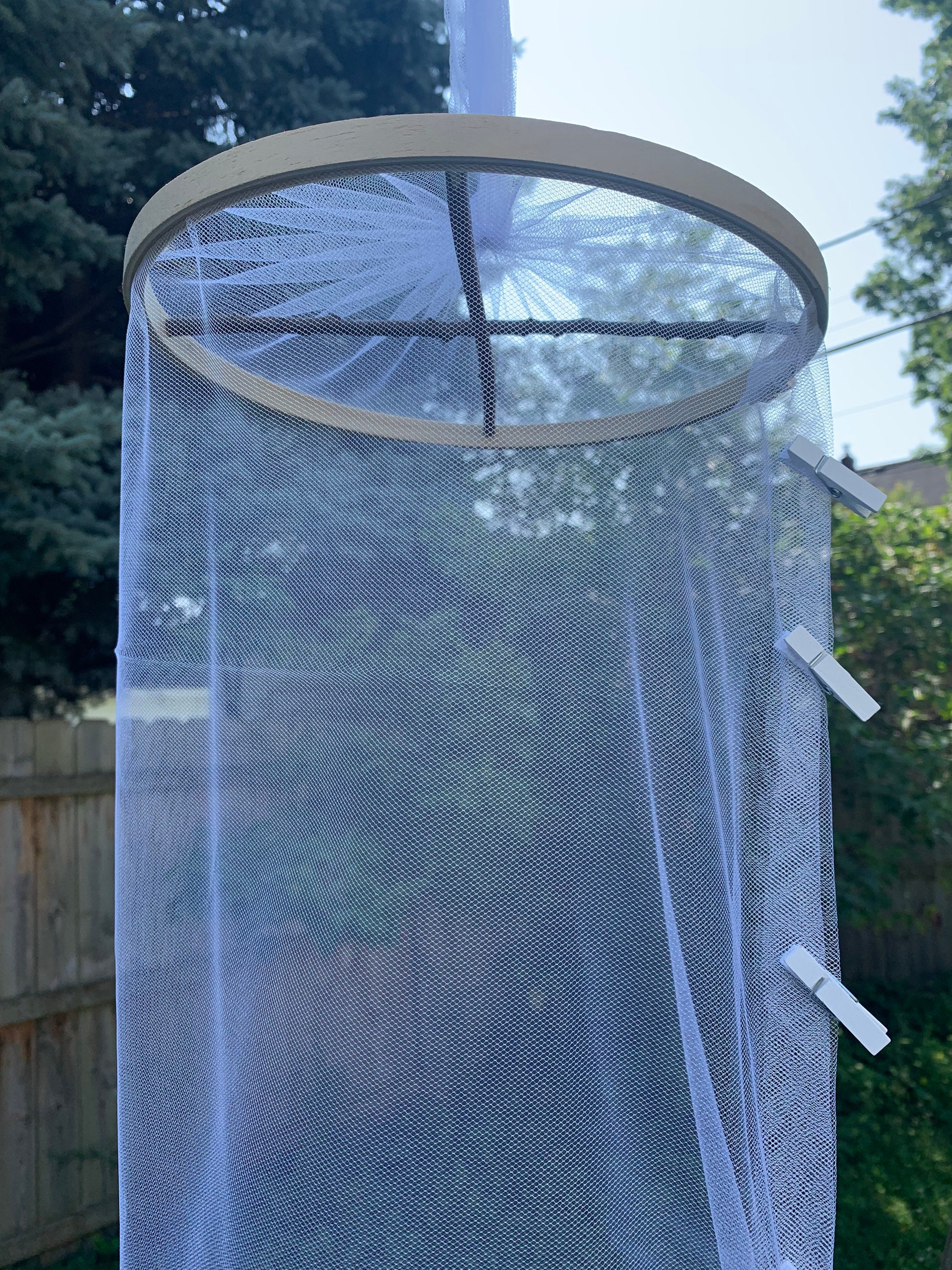 Monarch Butterfly Enclosure - Etsy