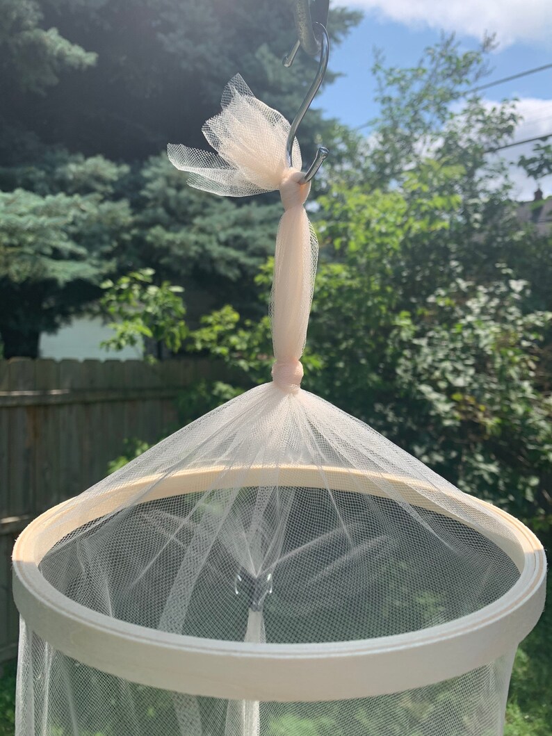 Monarch Butterfly Enclosure - Etsy