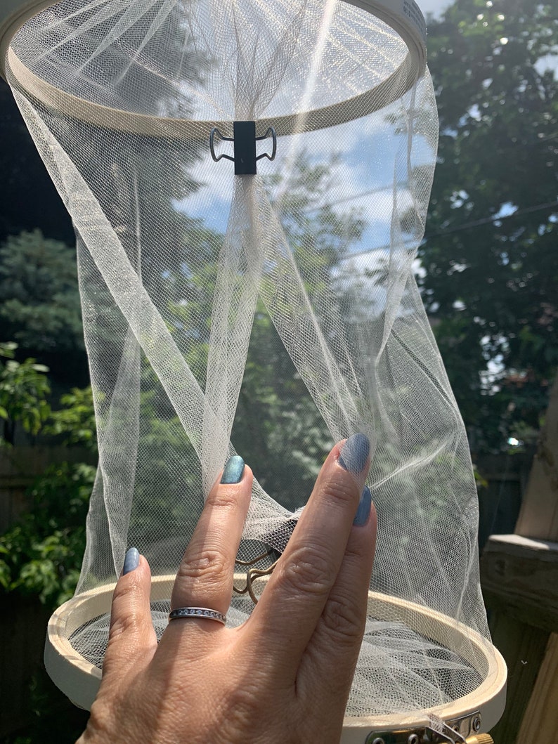 Monarch Butterfly Enclosure - Etsy