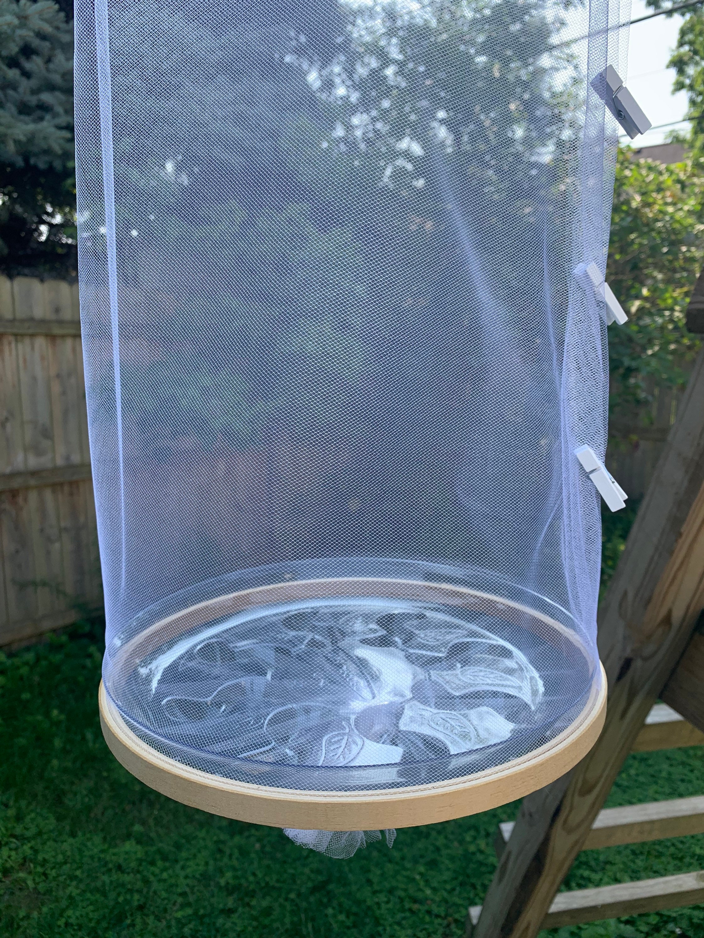 Monarch Butterfly Enclosure - Etsy