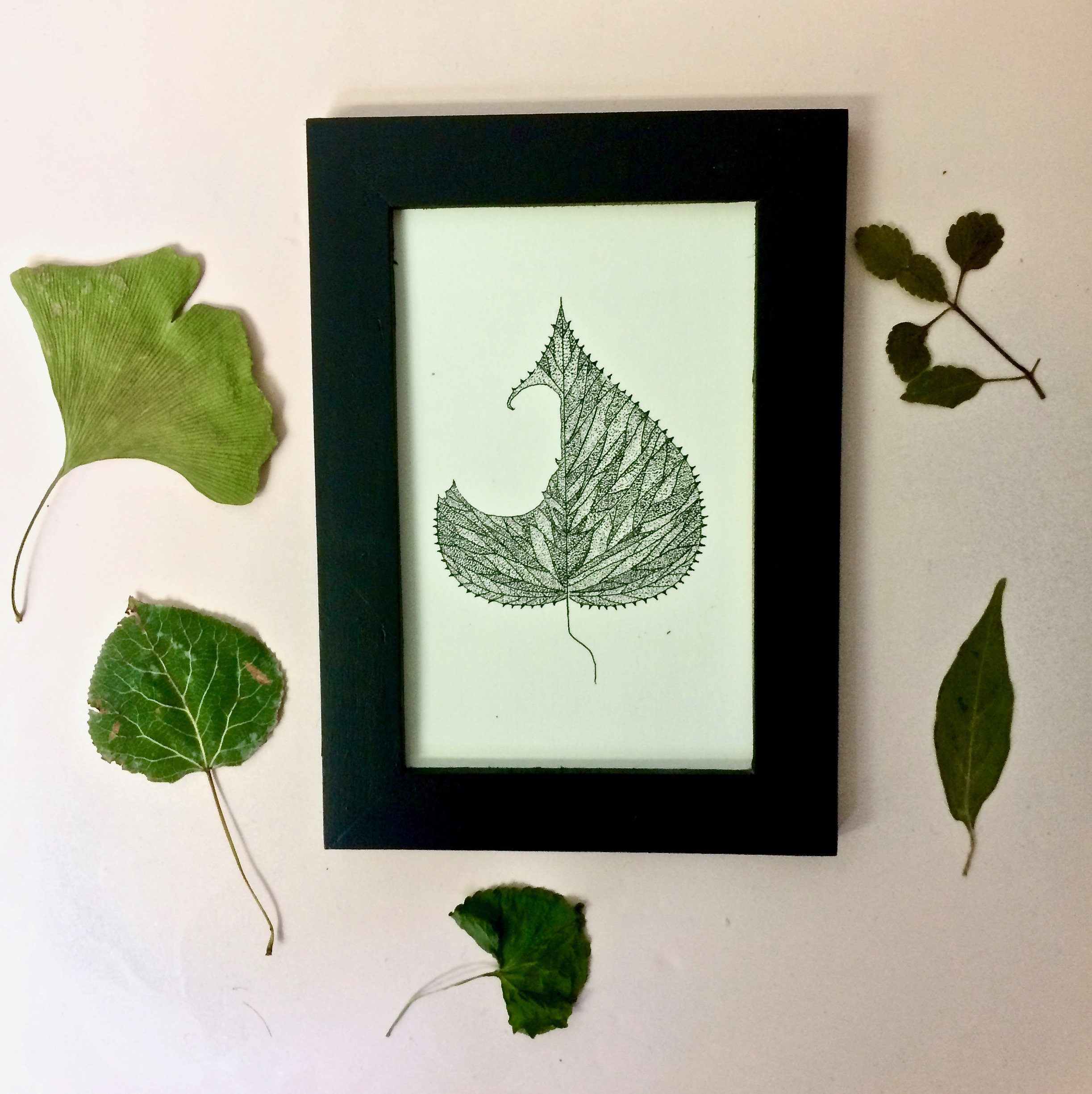 Black and Off-white Aspen Leaf Print Inspired by Nature - Etsy
