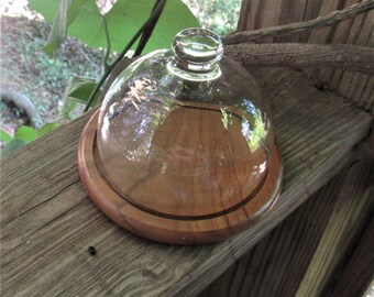 Cheese Keeper - Etsy