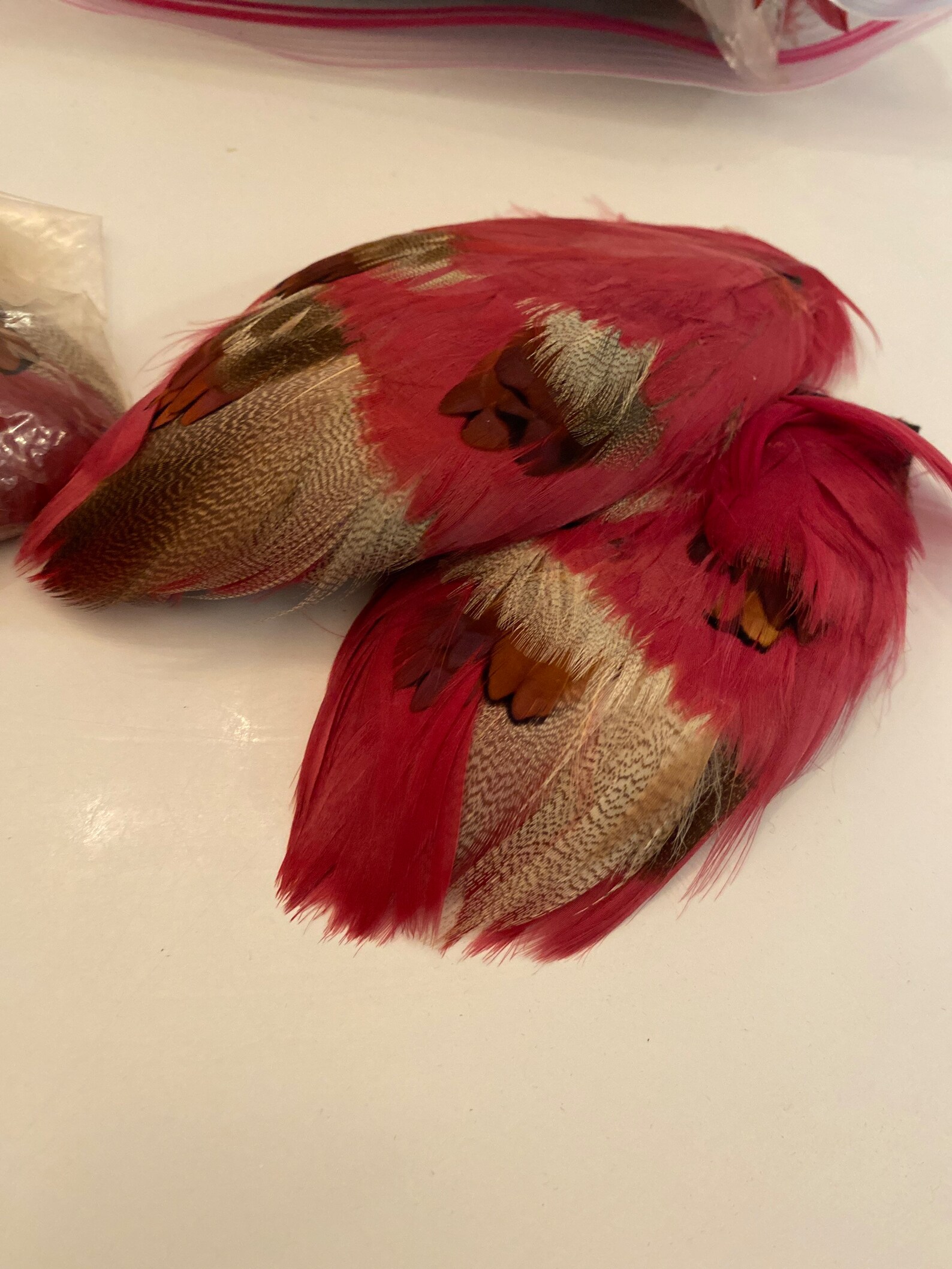 Antique Millinery Feathers Red Feathers With Pad Trim Felted - Etsy