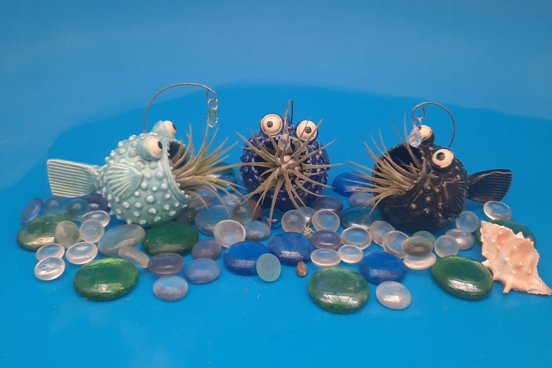 Mini Angler Fish Planters Air Plants Holder Plant Lover - Etsy