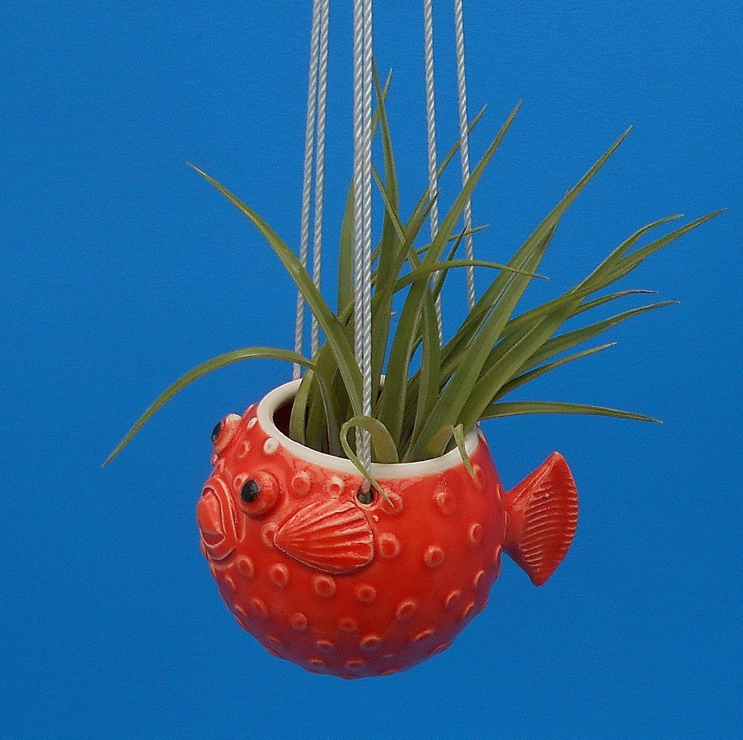 Hanging Puffer Fish Planters Air Plants Succulents - Etsy Canada