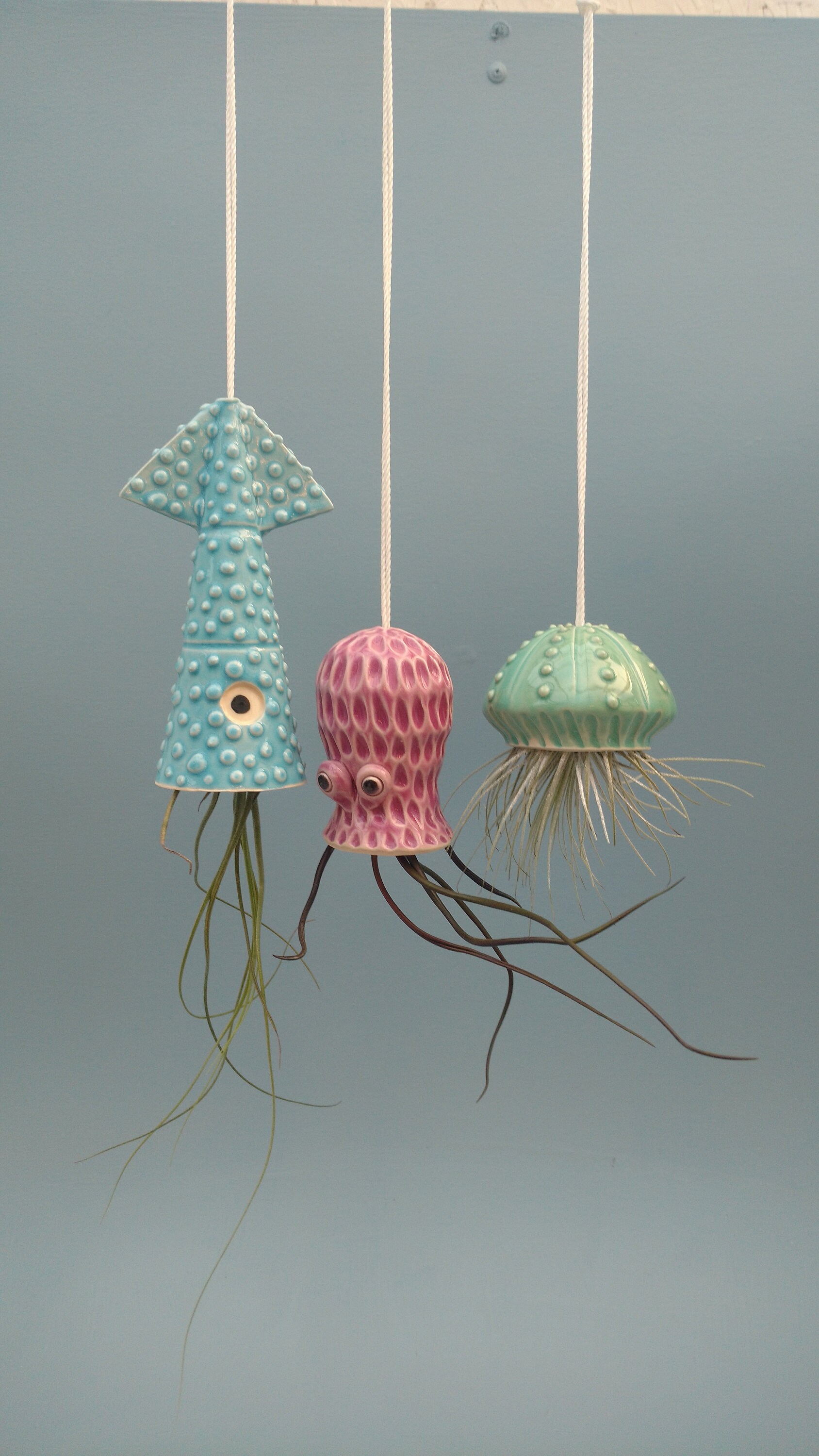 Small Squid Air Plant Planter Hanging Planter Whimsical | Etsy