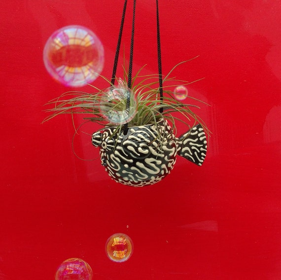 Map Puffer Fish Hanging Planter Small Air Plants Tropical - Etsy