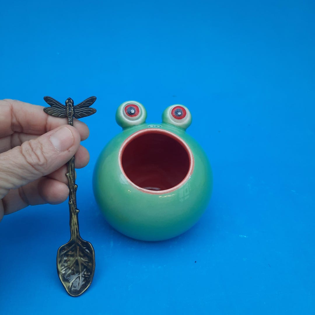 Red Eyed Frog, Salt Cellar, Salt Box, Frog Lover - Etsy