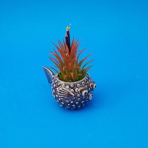 Mini Puffer Fish, Table Top Air Planter, Bring the Beach Home - Etsy