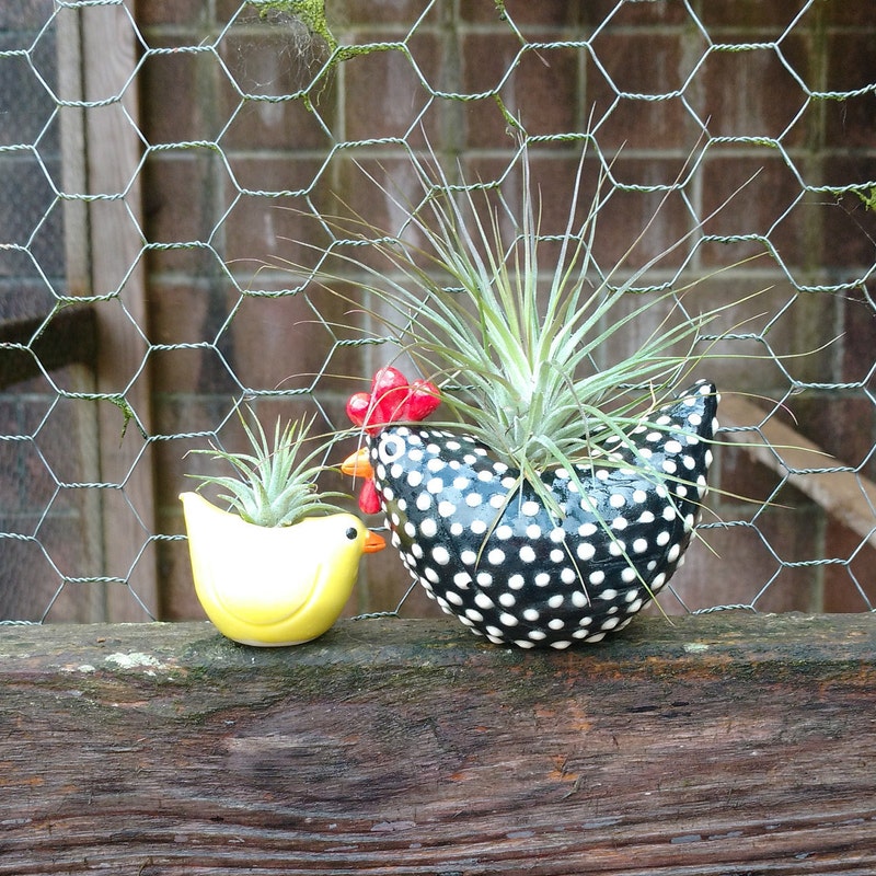 Hen Planter - Etsy