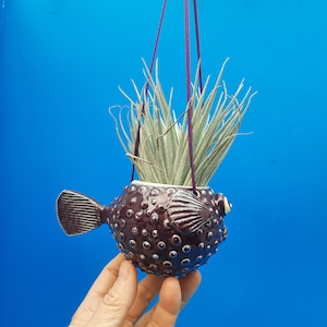 Hanging Puffer Fish Planters, Gift - Etsy
