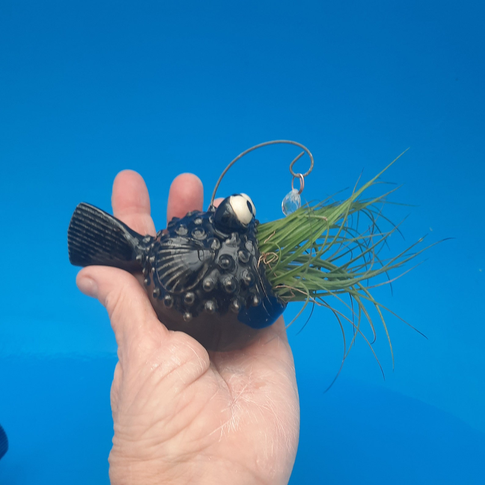 Mini Angler Fish Planters Air Plants Holder Plant Lover - Etsy