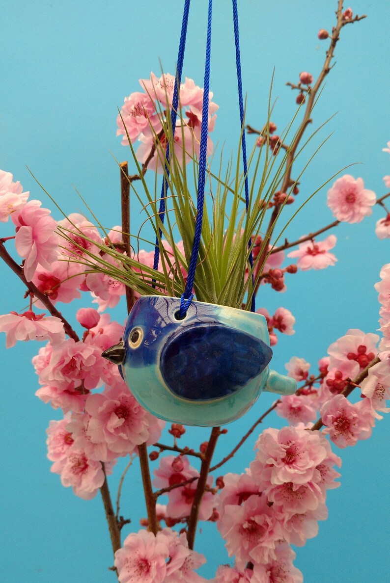 Hanging Mini Bluebird Planter, Bluebird of Happiness, Mother's Day Gift ...