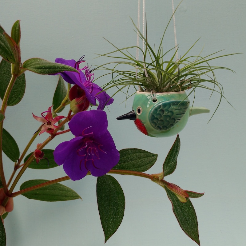 Ceramic Bird Planters - Etsy