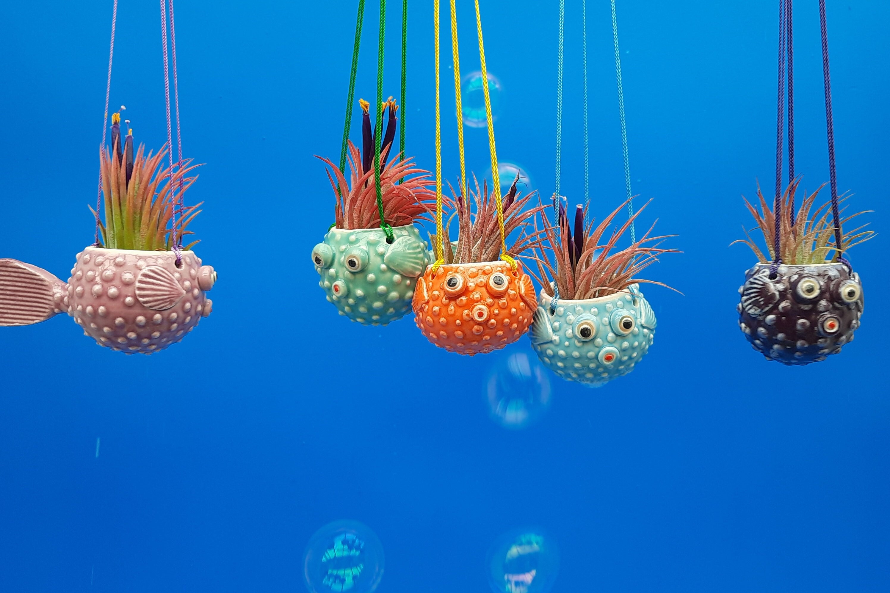 Mini Hanging Puffer Fish Planters Air Plants Whimsical Gift - Etsy UK
