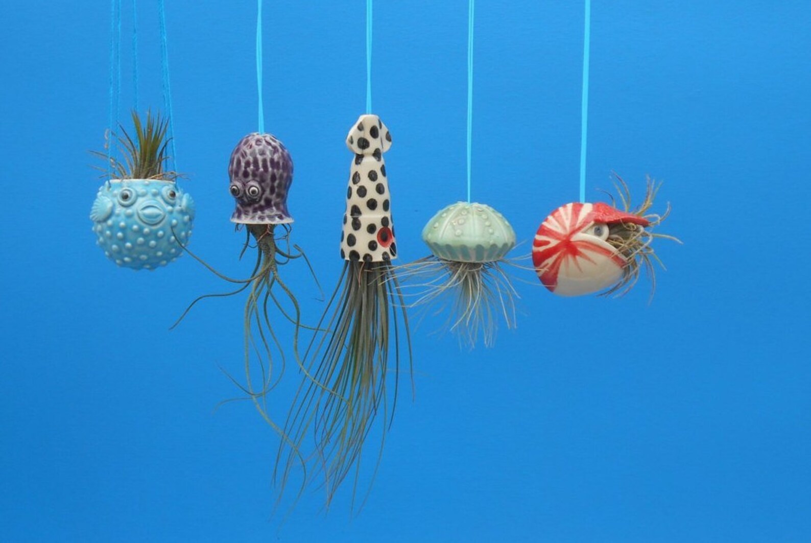 An Octopus Garden Collection of 5 Mini Hanging Air Planters | Etsy
