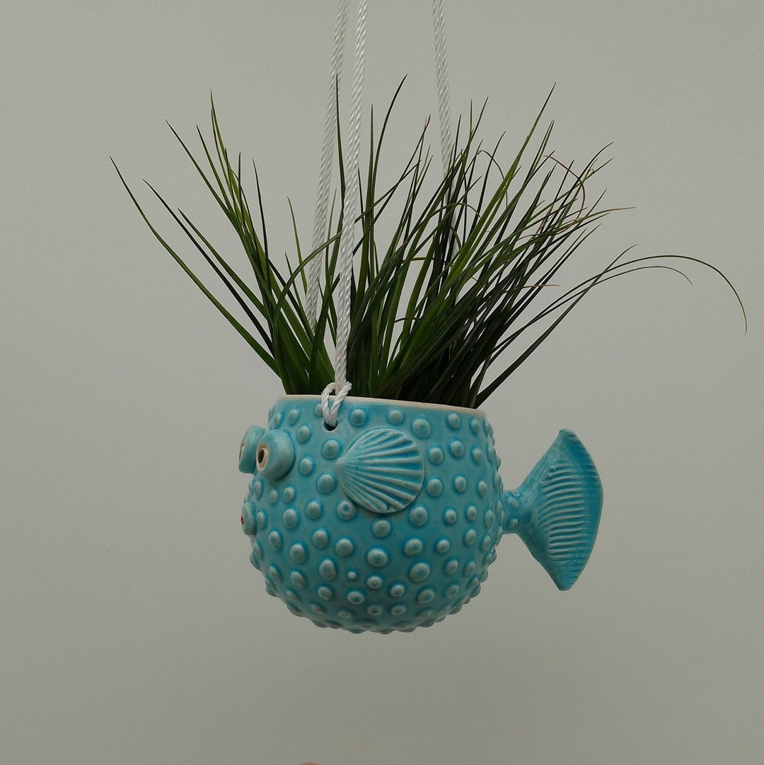 Hanging Puffer Fish Planters Air Plants Succulents - Etsy Canada