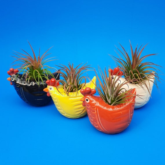 Farm Planters