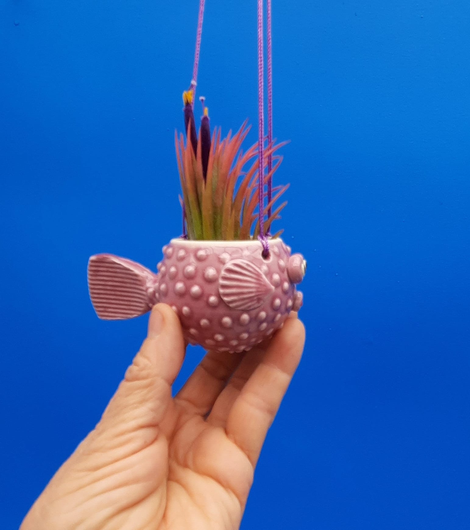 Mini Hanging Puffer Fish Planters Air Plants Whimsical Gift - Etsy UK
