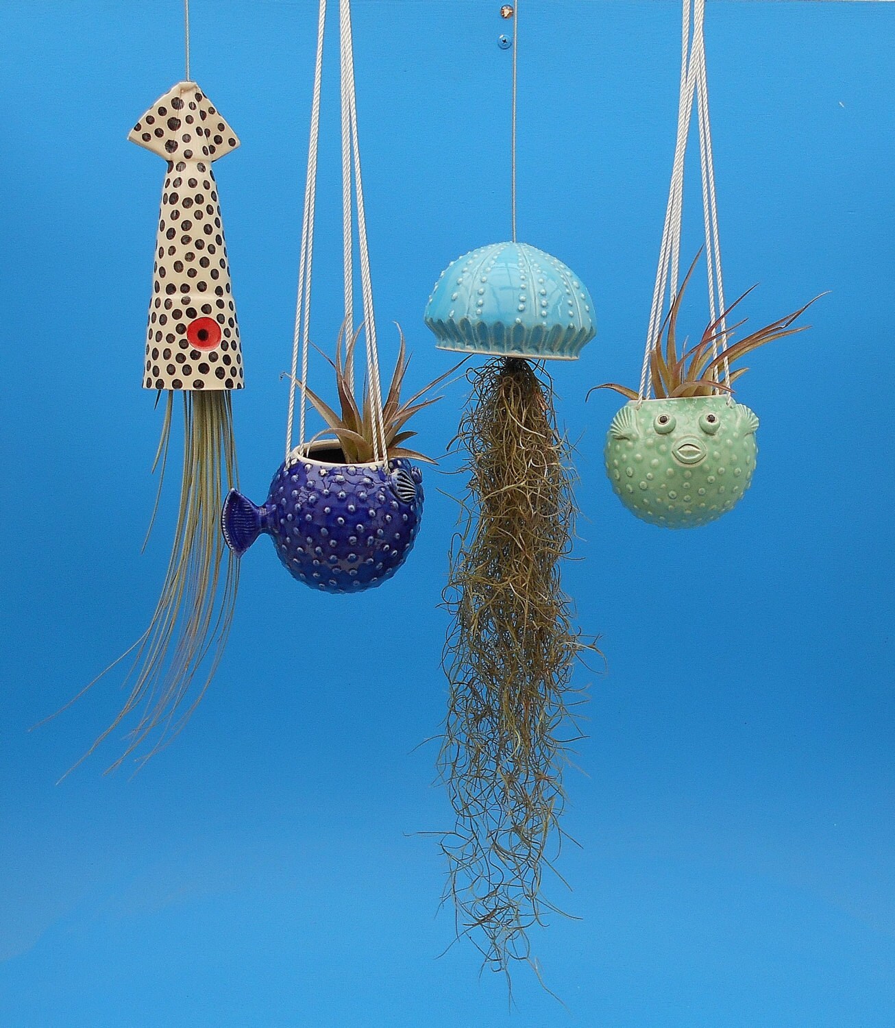 Hanging Puffer Fish Planters Air Plants Succulents - Etsy Canada