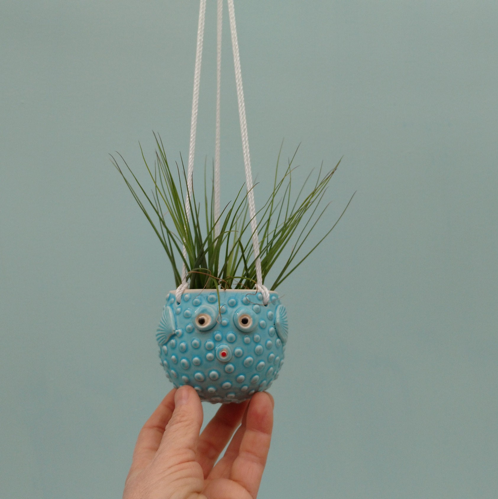 Hanging Puffer Fish Planters Air Plants Succulents - Etsy Canada
