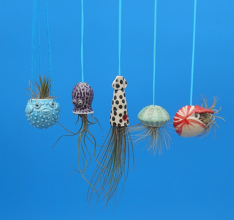 Mini Hanging Puffer Fish Planters Air Plants Succulents | Etsy