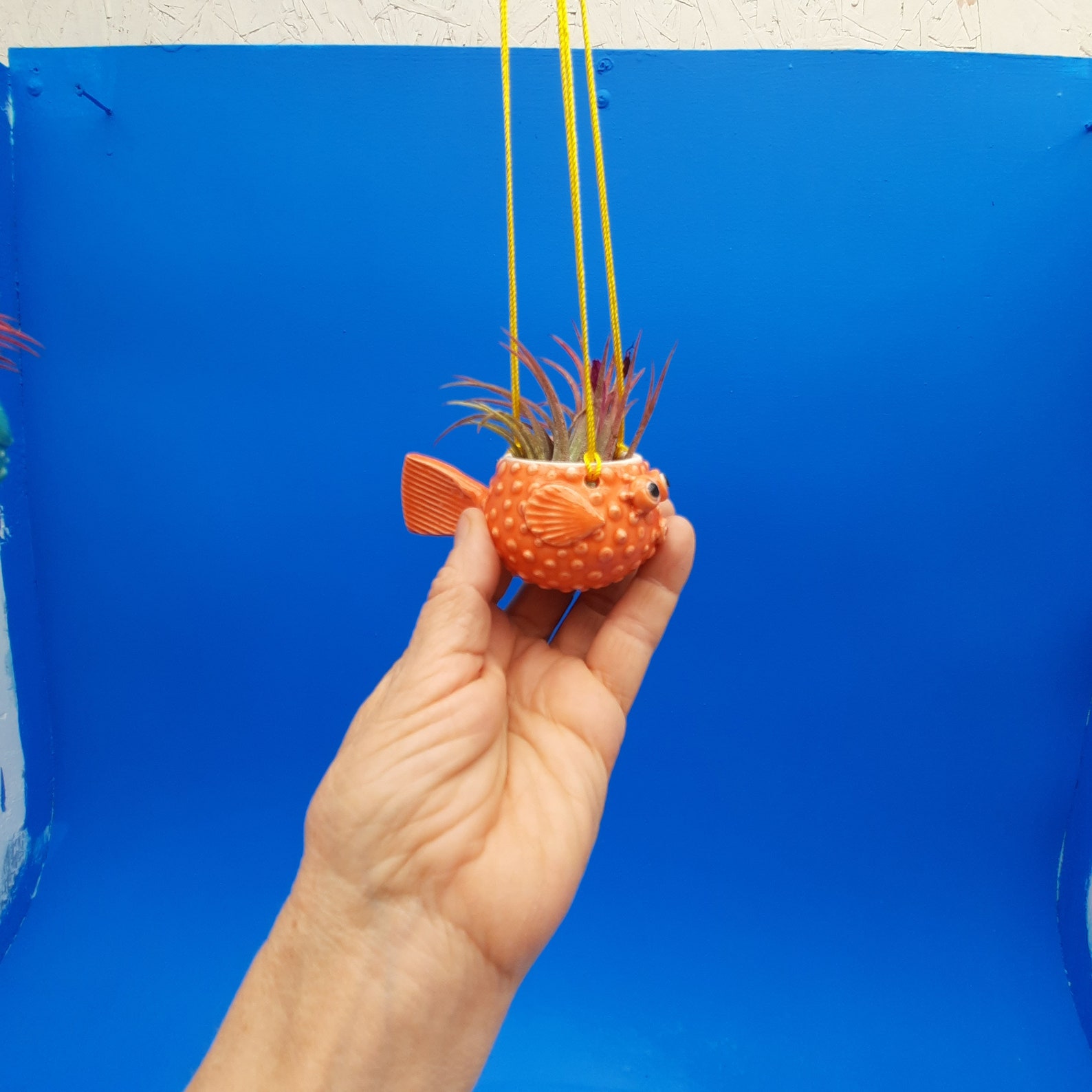 Mini Hanging Puffer Fish Planters Air Plants Whimsical Gift - Etsy