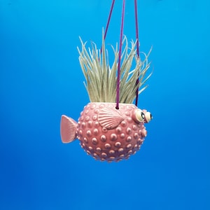 Hanging Puffer Fish Planters, Gift - Etsy