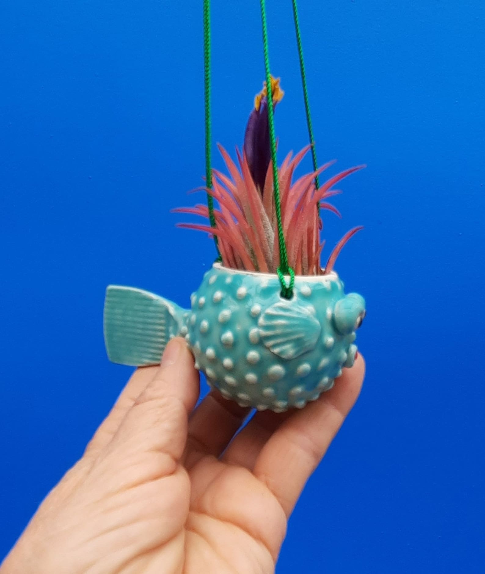 Mini Hanging Puffer Fish Planters Air Plants Succulents | Etsy