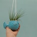Hanging Puffer Fish Planters Air Plants Succulents - Etsy Canada