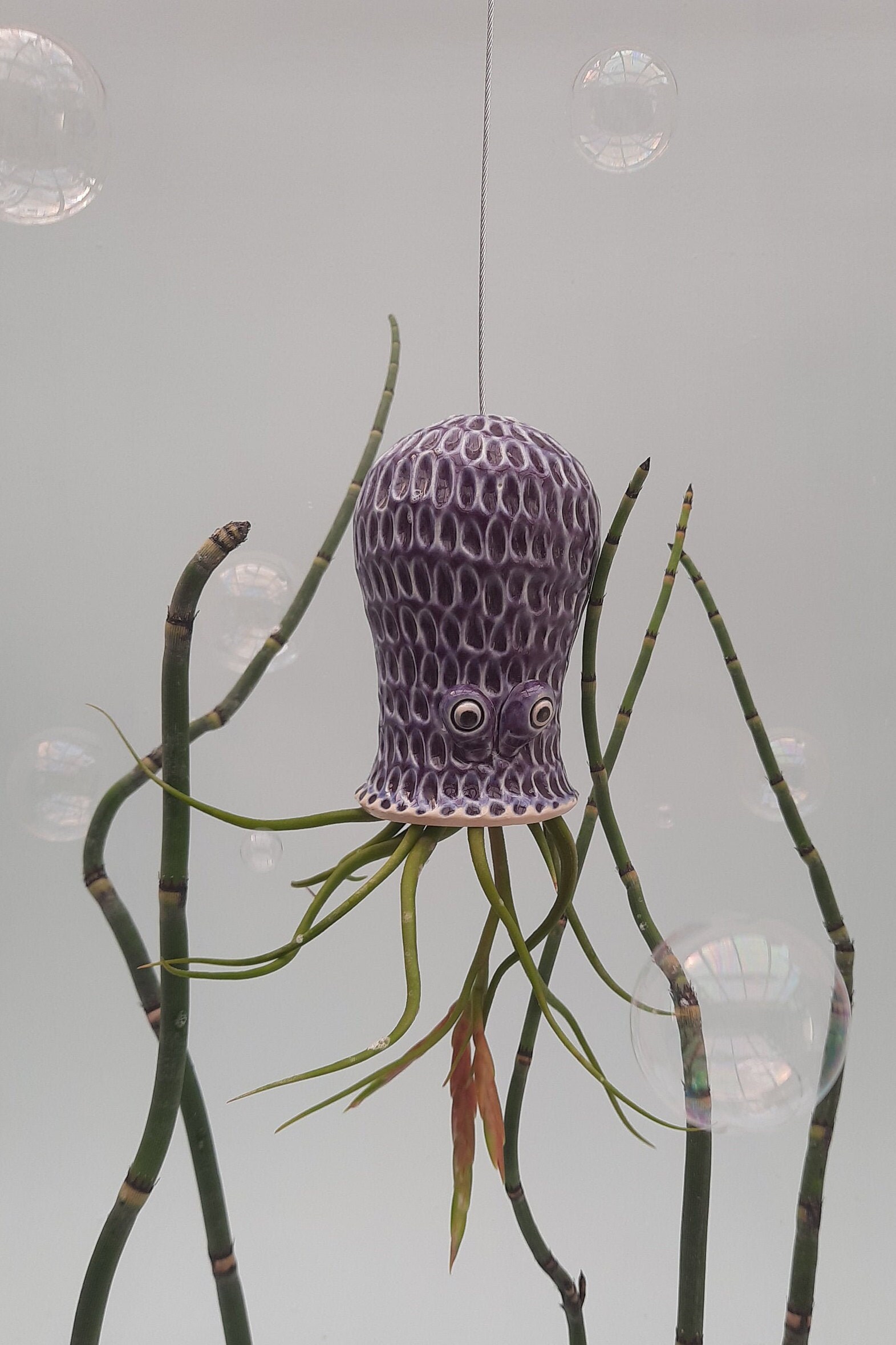 Large Original Octopus Air Plant Hanger Octopus Garden | Etsy UK