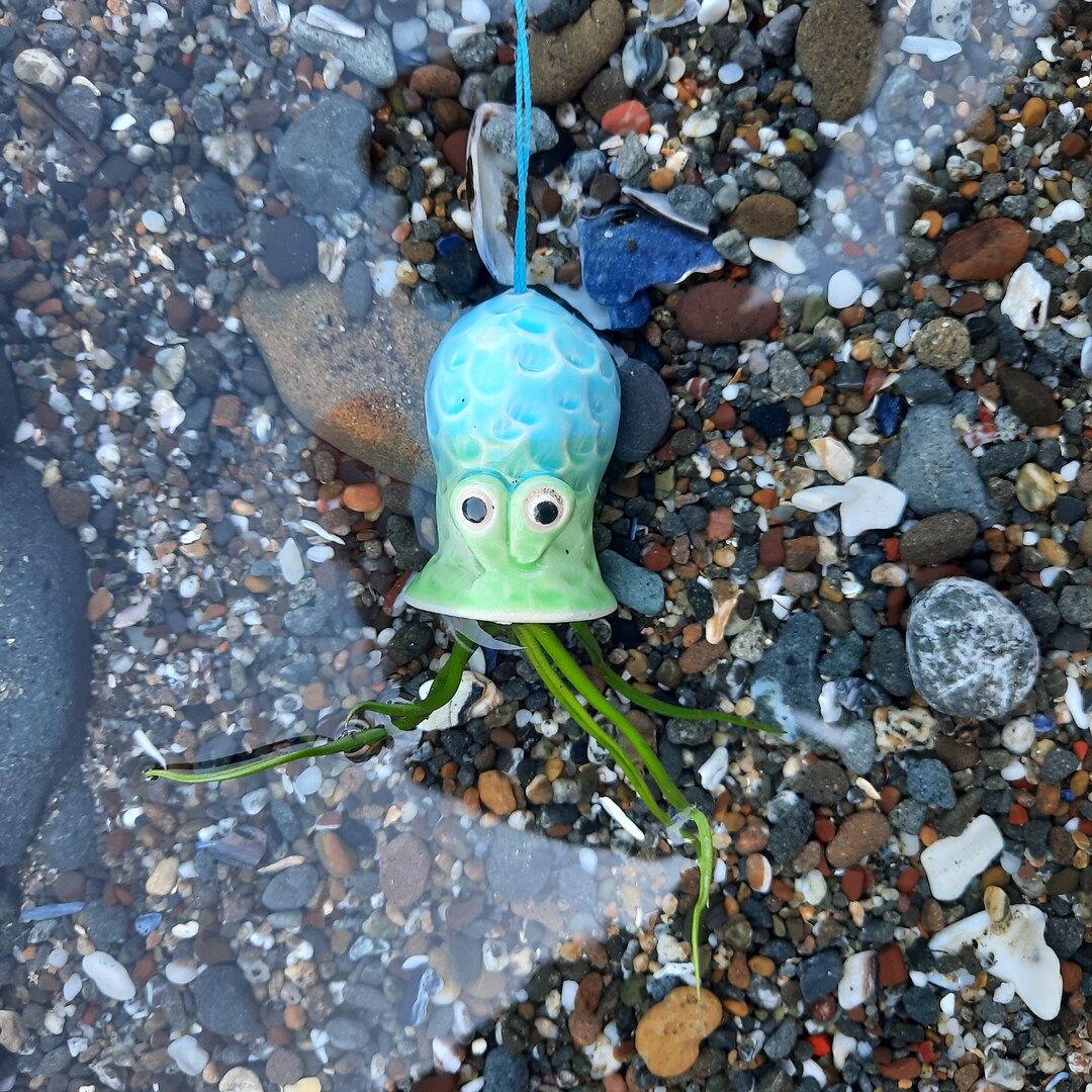 A Mini Mermaid, Octopus, Air Plant Hanger, Mother's Day Gift - Etsy