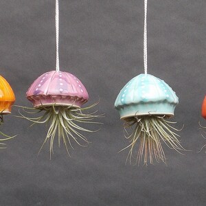 Small Jellyfish, Hanging Air Planter, Bring the Beach Home - Etsy
