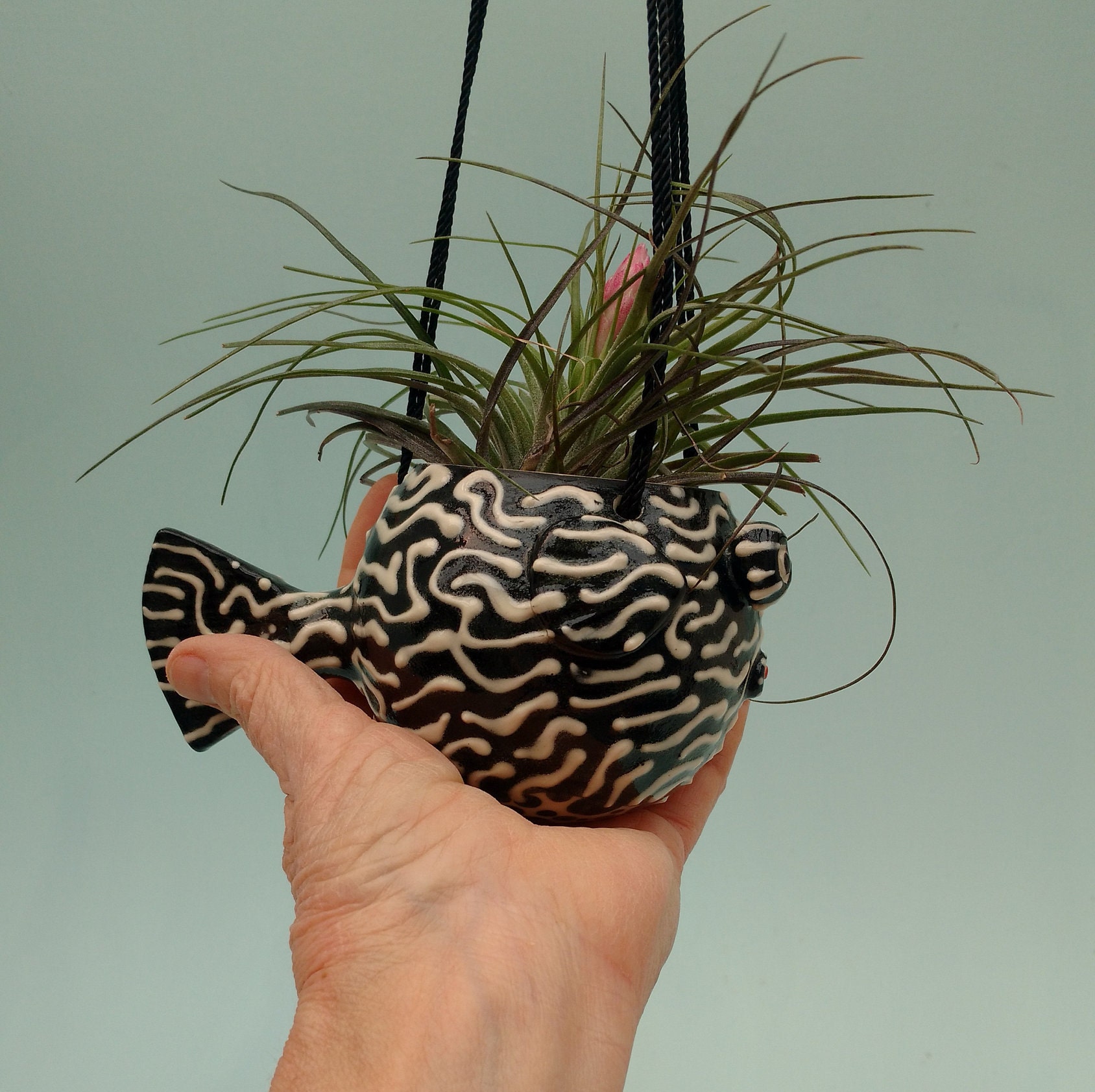 Map Puffer Fish Hanging Planter Small Air Plants Tropical | Etsy