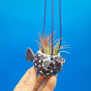 Mini, Hanging Puffer Fish Planters, Air Planter - Etsy